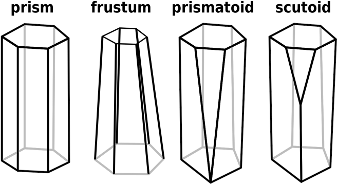 Download New Geometric Shape Introduced To The Math World - New Shape ...