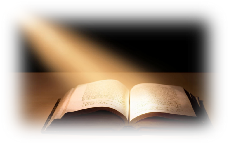 Bible Transparent Png Pictures - Open Bible Transparent Background ...