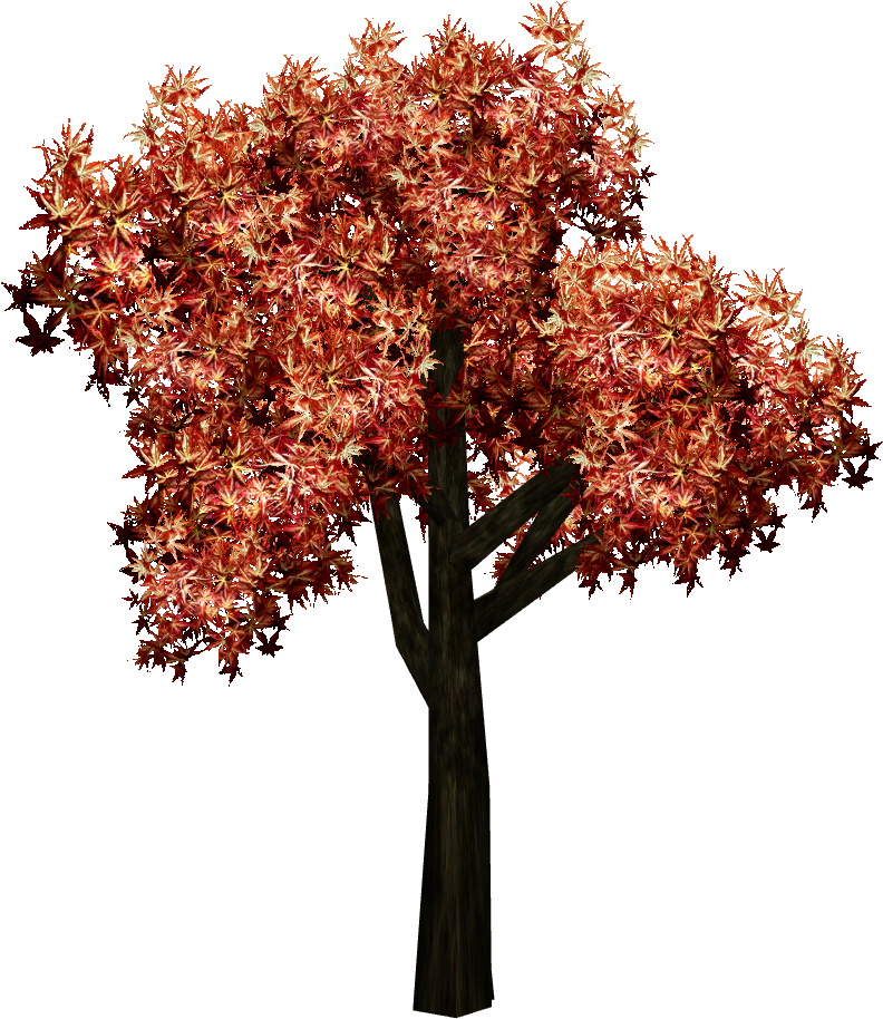 Download Japanese Maples - Maple Leaf PNG Image with No Background ...