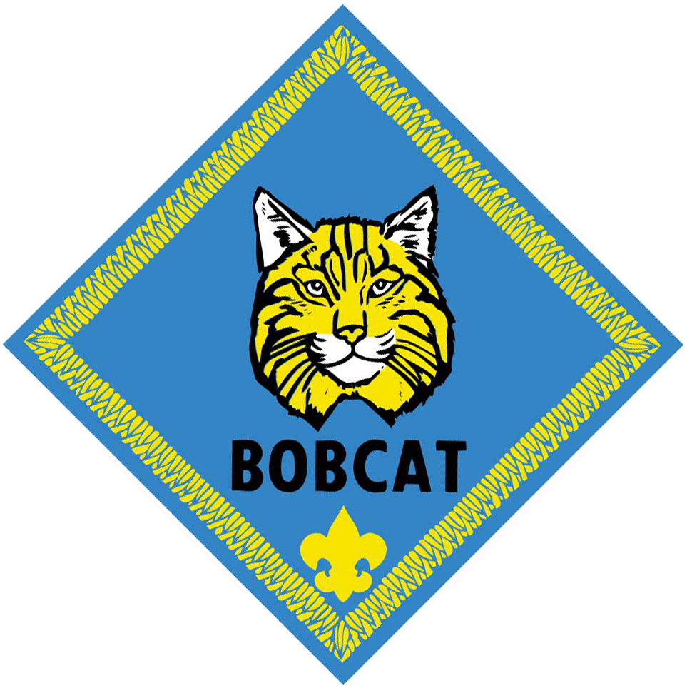 Download Bobcat - Cub Scout Bobcat Rank PNG Image with No Background ...
