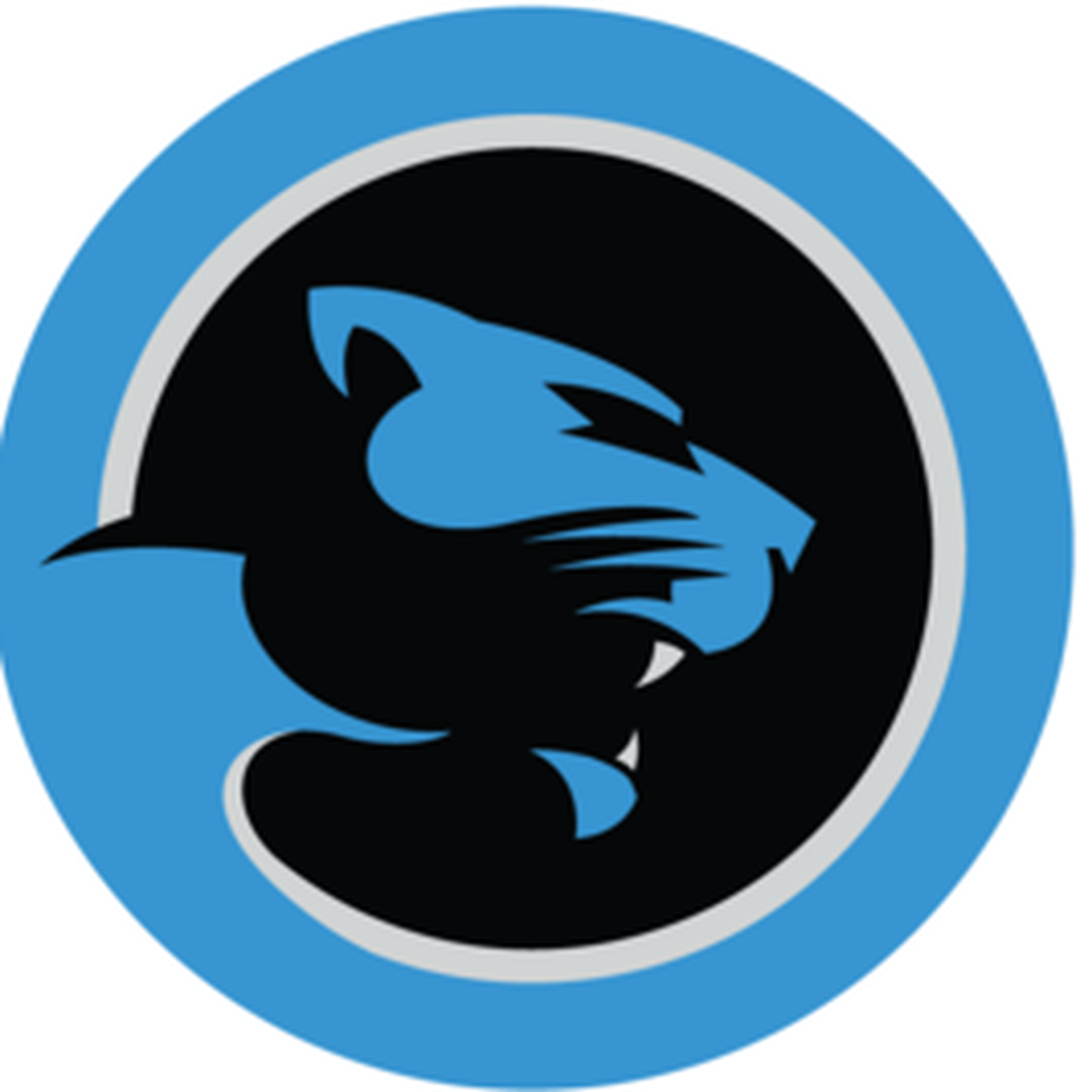 Download Panthers Article Round-up PNG Image with No Background ...