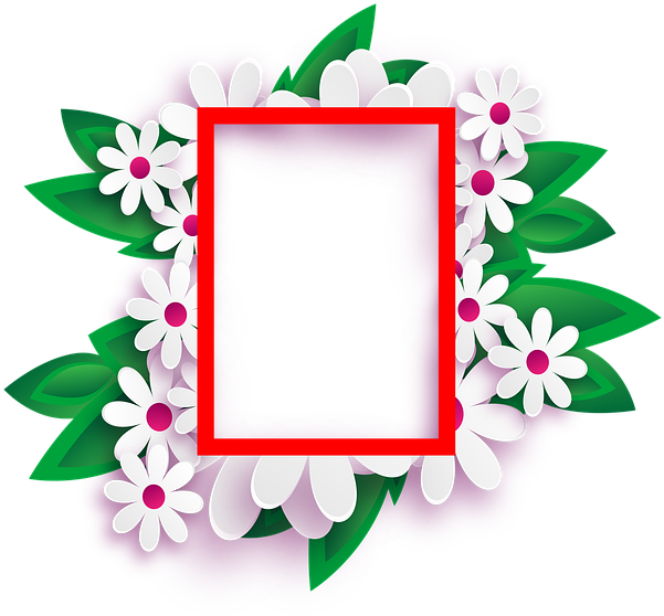 Download Photo Frame, Transparent Background, Flowers, March - Facebook ...