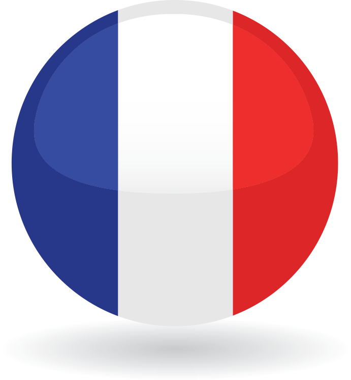About The French Language - France Flag Icon Png - Free Transparent PNG ...