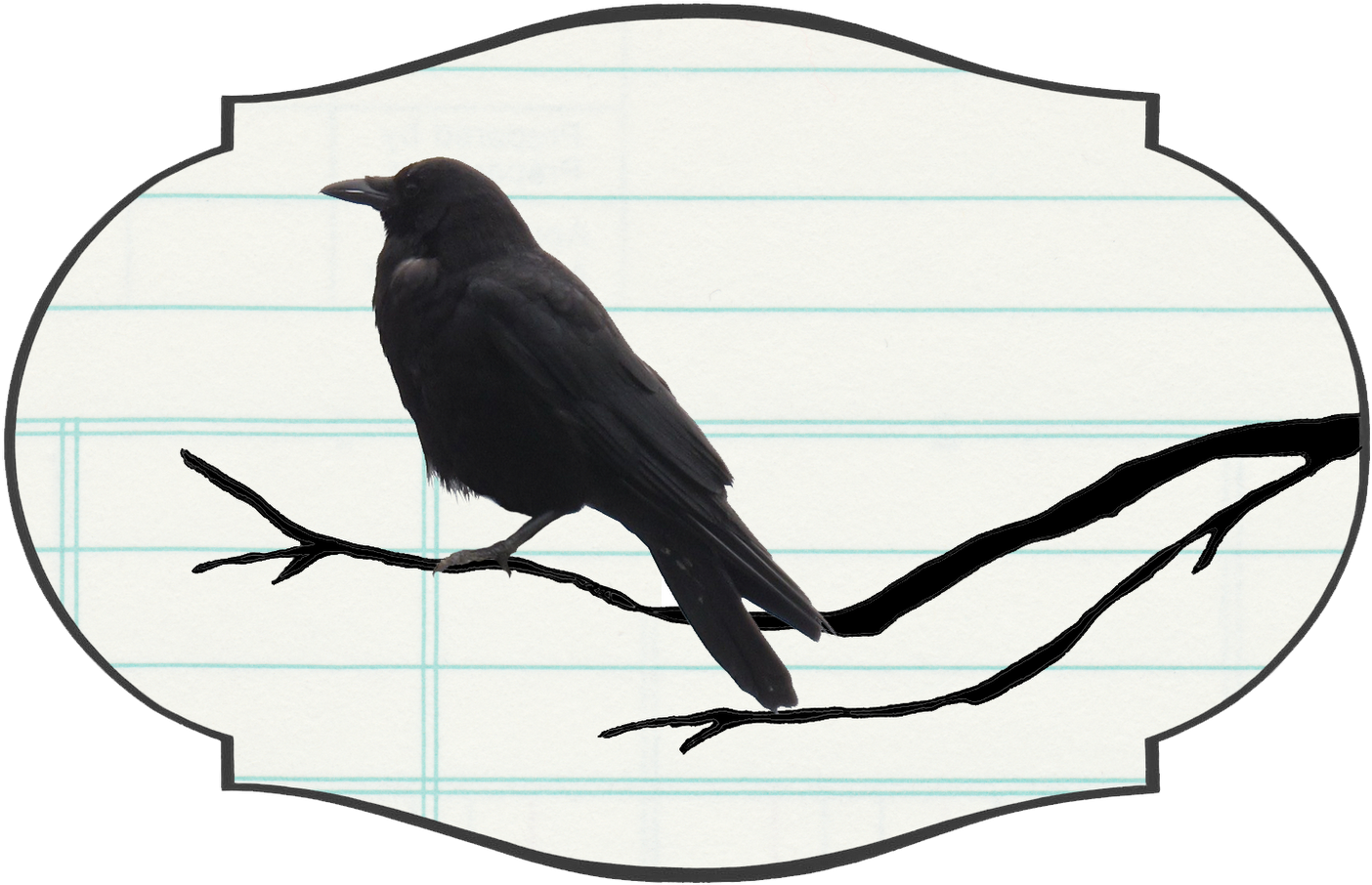 Crow On Branch Lined Rule Label - American Crow - Free Transparent PNG ...