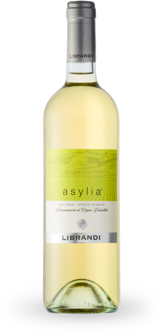 Download Asylia Bianco - Vini Bianchi Calabresi PNG Image with No ...