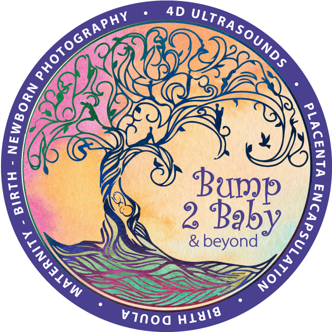 Download Baby Tree Vector Final 2 - Label PNG Image with No Background ...