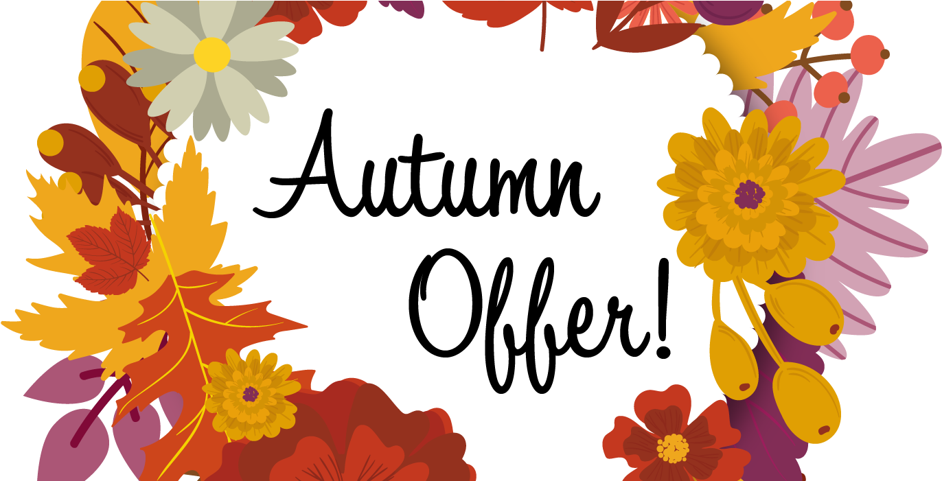 Download Autumn Offer Sticker - Sunflower PNG Image with No Background ...