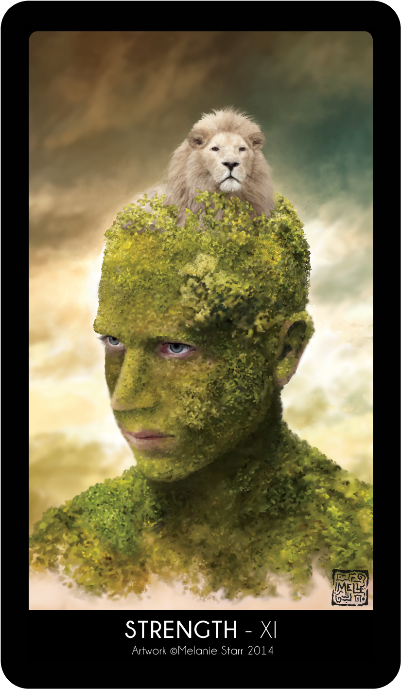 14-strength - Free Transparent PNG Download - PNGkey