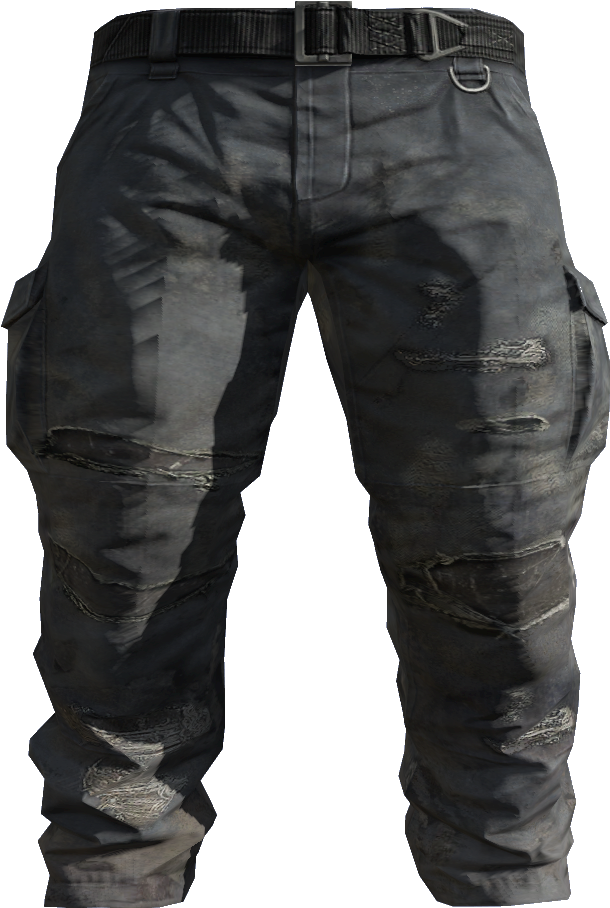 Download Grey Cargo Pants Model PNG Image with No Background - PNGkey.com