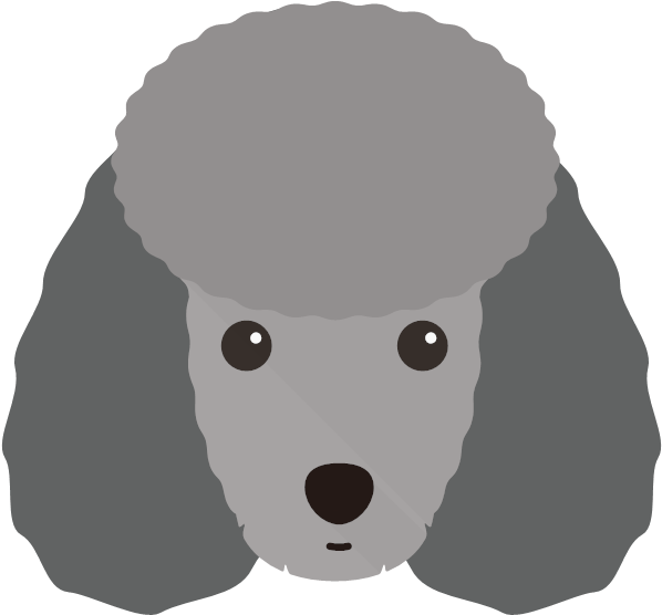 Download Create A Tailor-made Shop Just For Your Dog - Poodle Toy Icon ...