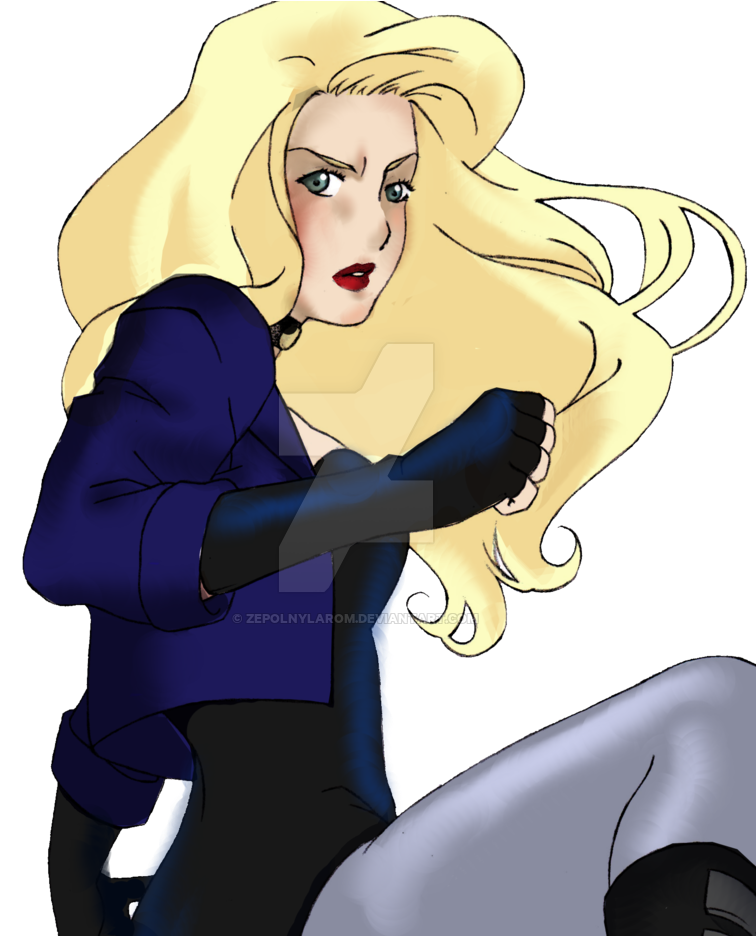 Download Black Canary - Cartoon PNG Image with No Background - PNGkey.com