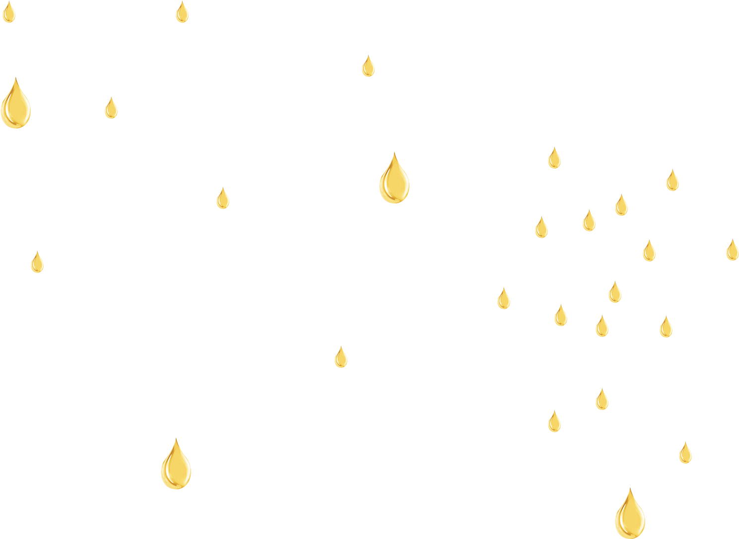 Download Banner-bottom PNG Image with No Background - PNGkey.com