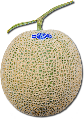 Download Australia Rock Melon - Honeydew PNG Image with No Background ...