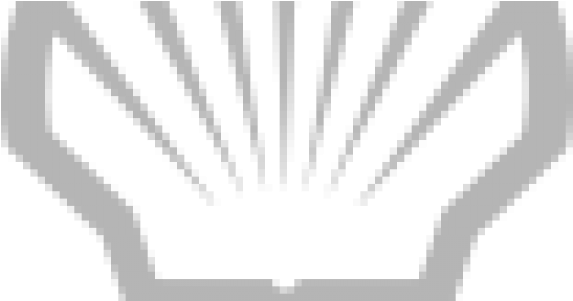 Shell - Bitmap Vector - Free Transparent PNG Download - PNGkey