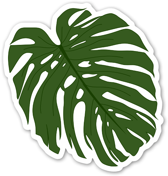 Download Palm Leaf Sticker - Hoja De Palmera Png PNG Image with No ...