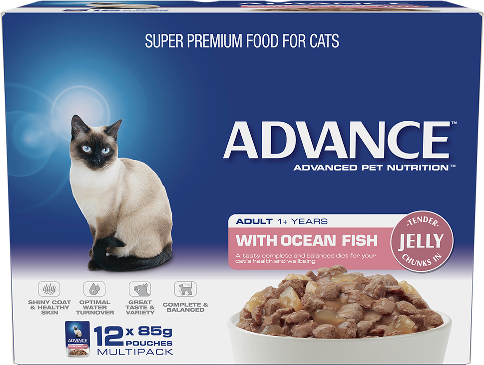 Download Cat Food PNG Image with No Background - PNGkey.com