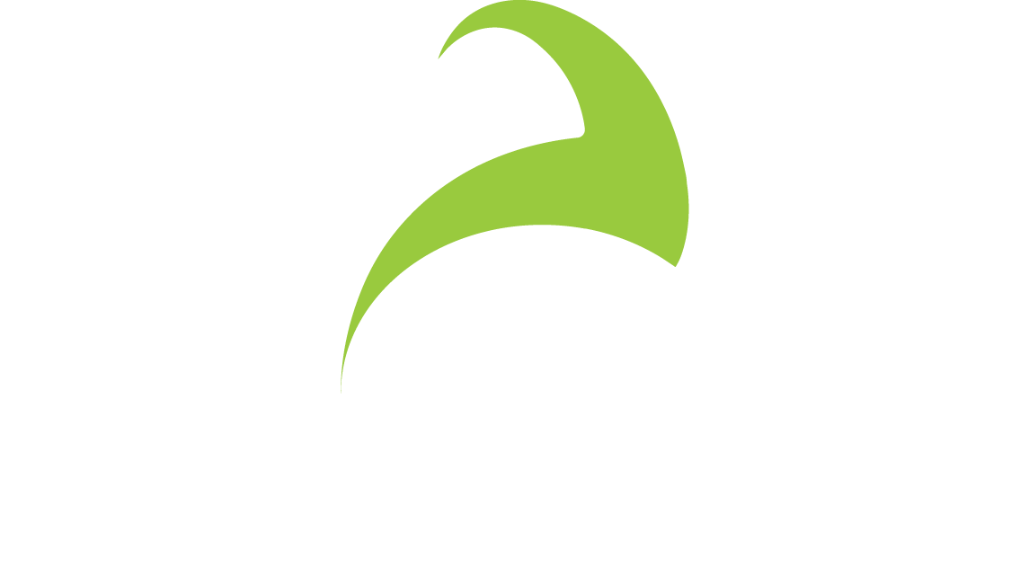 Download Boreal Logo Standard Dark Background, Png, - Boreal Logo Png ...