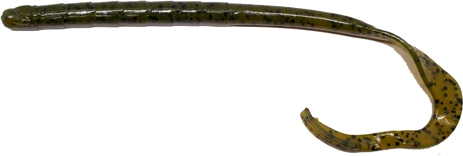 Download 10" Mondo Worm - Bay Pipefish PNG Image with No Background ...
