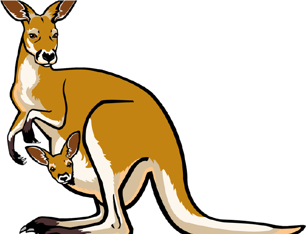 Download Kangaroo Clipart Red Kangaroo - Clip Art Kangaroo Png PNG ...