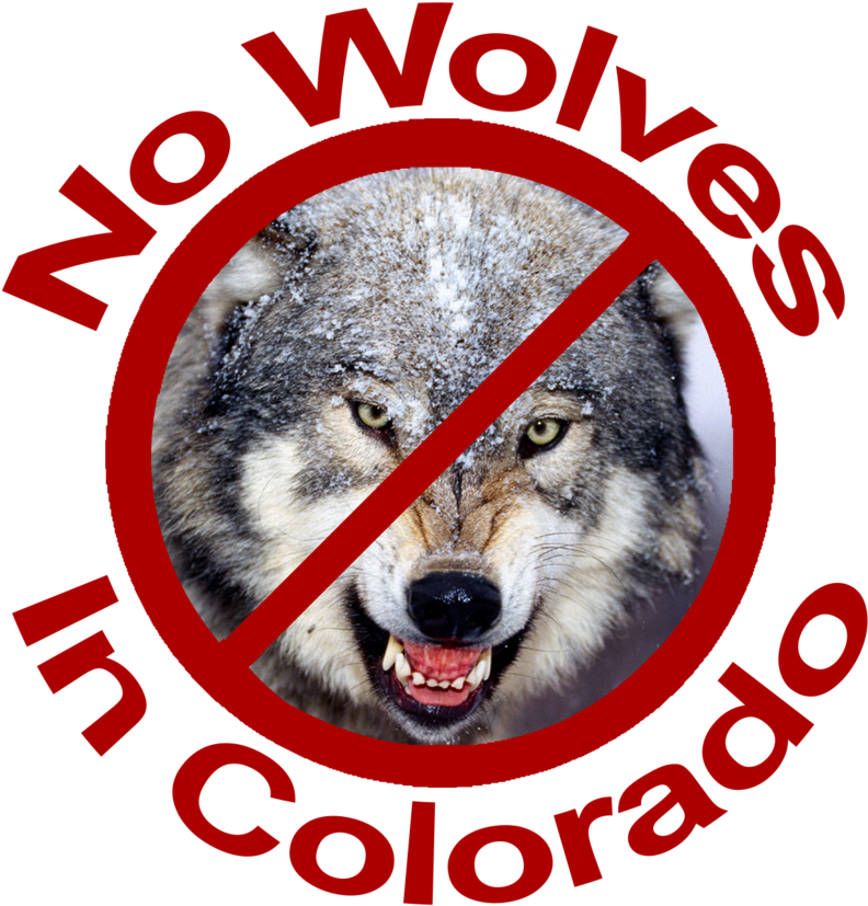 Download No Wolves In Colorado Red Lettering - Gray Wolf PNG Image with ...