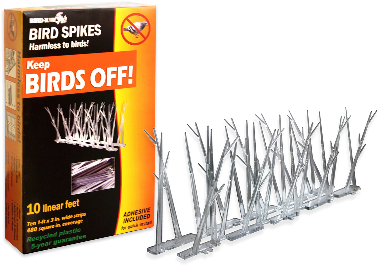 Download Loading Zoom - Bird Prevention Home PNG Image with No ...