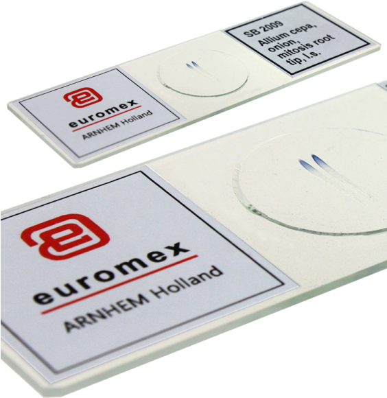 Download Prepared Slides - Label PNG Image with No Background - PNGkey.com