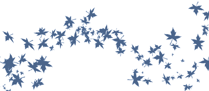 Download Line Blue - Stars Line Png PNG Image with No Background ...