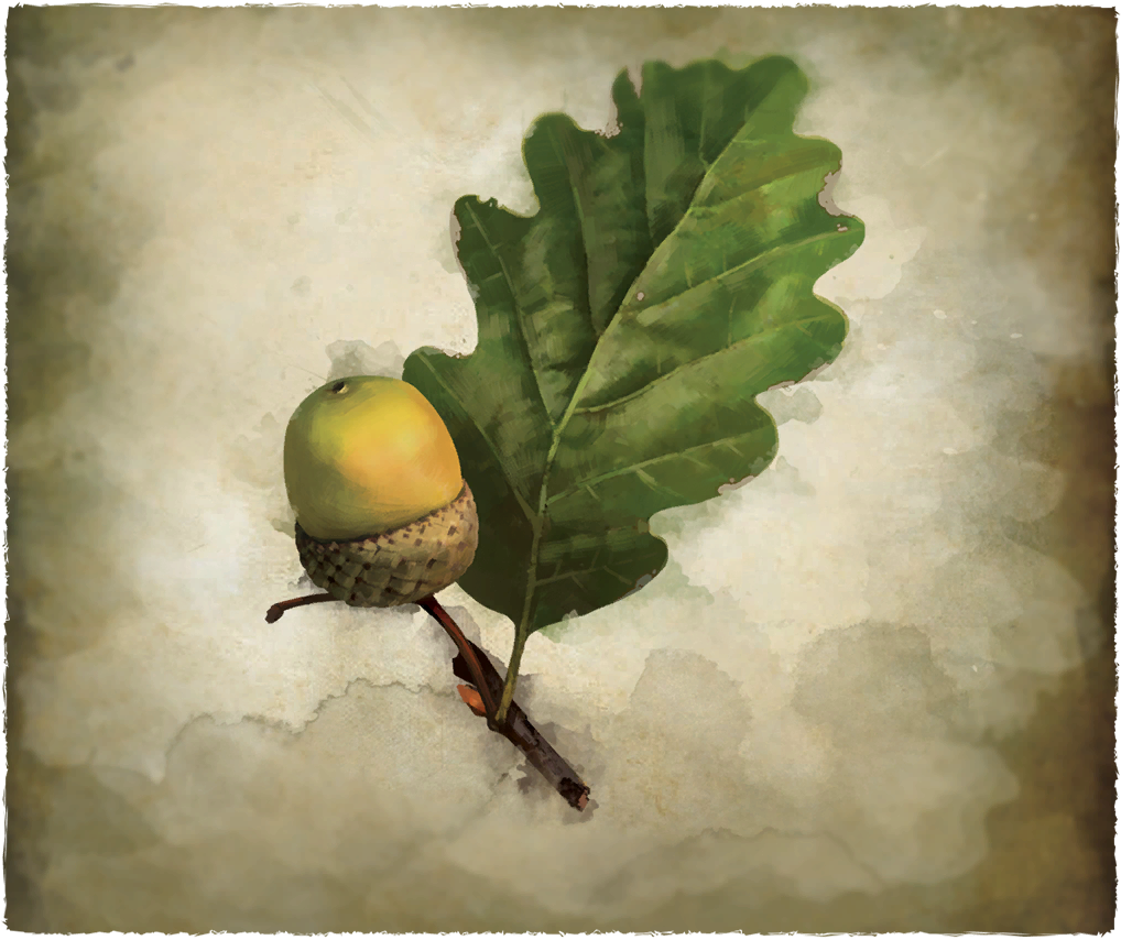 Download Silvanus - Silvanus Symbol PNG Image with No Background ...