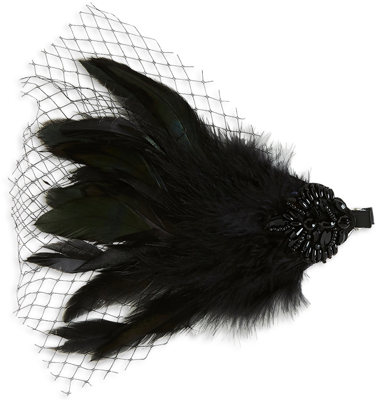 Download Feather Hair Clip Black - Barrette PNG Image with No ...