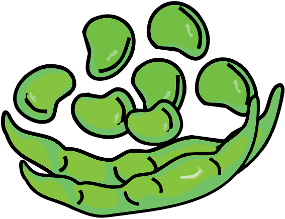 Download Broad Bean - Broad Bean Icon Png PNG Image with No Background ...