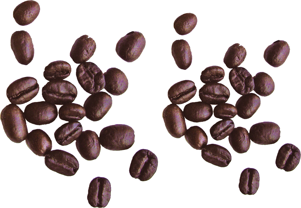 Coffee Beans Png Image - Scattered Coffee Beans Png - Free Transparent ...