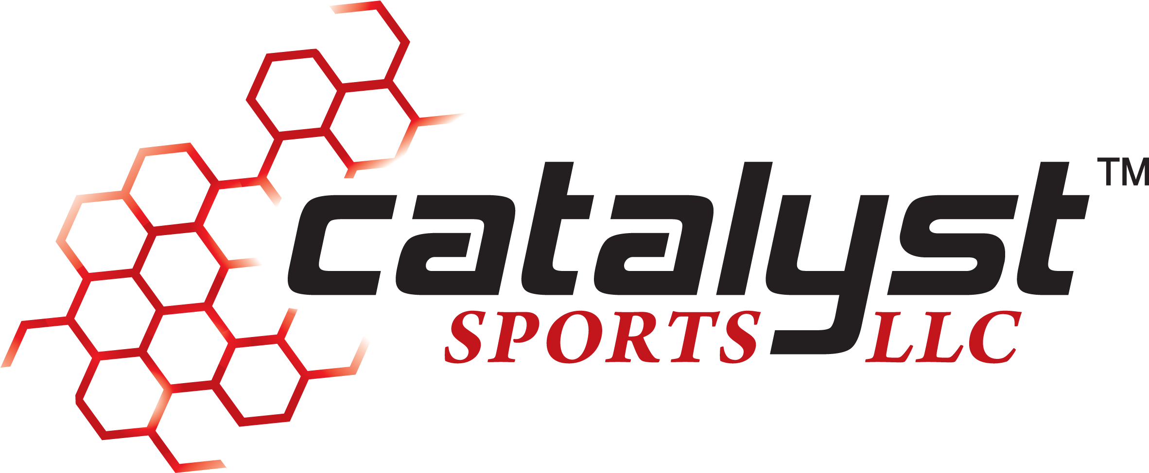 Download Catalyst Sports - Catalyst PNG Image with No Background ...