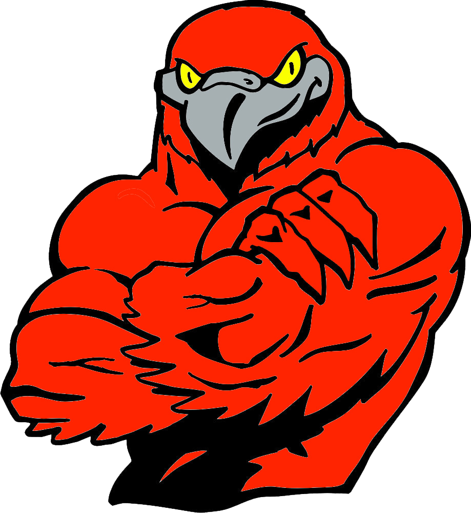 Download Falcons Basketball Clipart - Falcon Bird With Muscles PNG ...