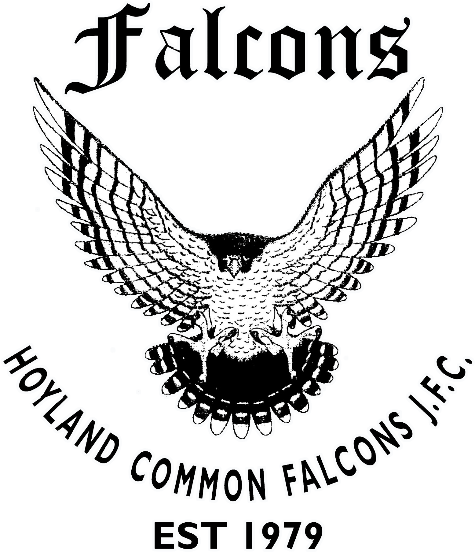 Download Hoyland Common Falcons Jfc - Valley View Middle School PNG ...