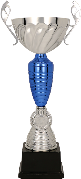Trophy - Free Transparent PNG Download - PNGkey