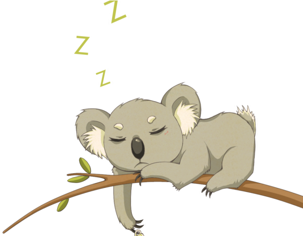 Download Drawn Koala Transparent - Transparent Background Cute Koala ...