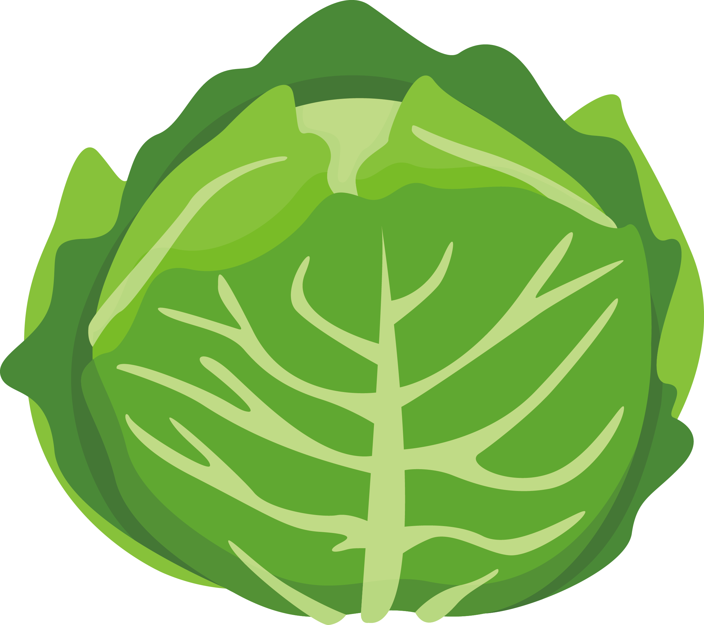Download Chinese Cabbage Vegetable Cartoon - Cartoon Cabbage PNG Image ...