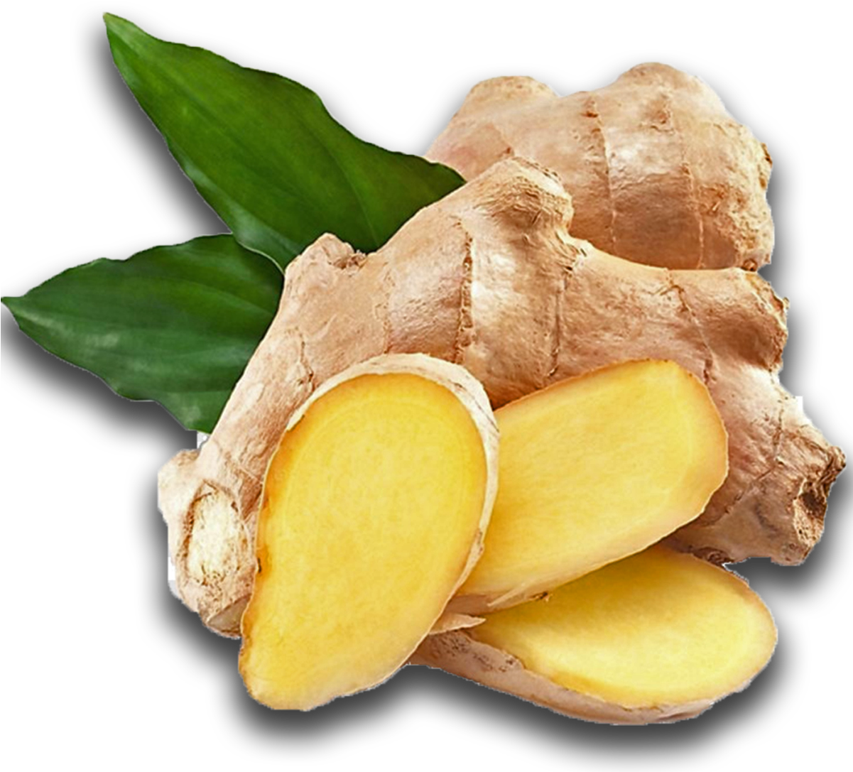 Download Ginger PNG Image with No Background - PNGkey.com