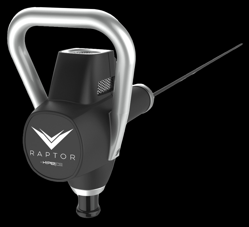 Download Raptor Png PNG Image with No Background - PNGkey.com