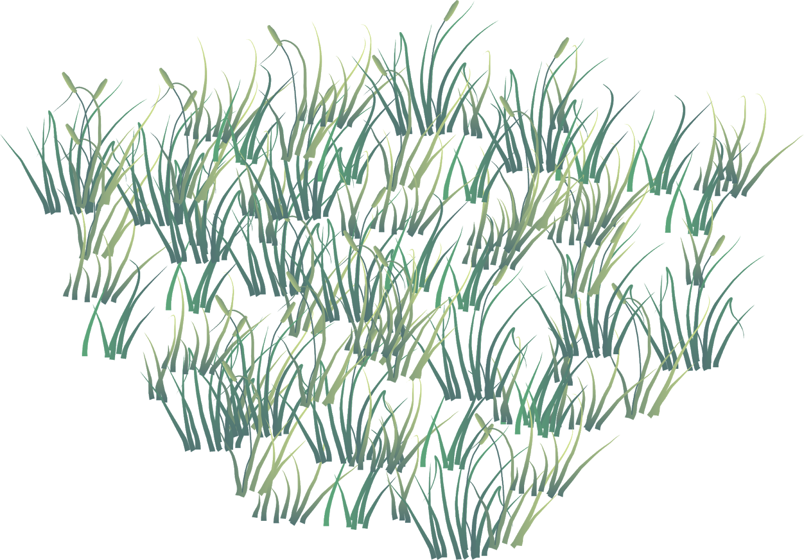 Download Vector Grass Png - Grass PNG Image with No Background - PNGkey.com