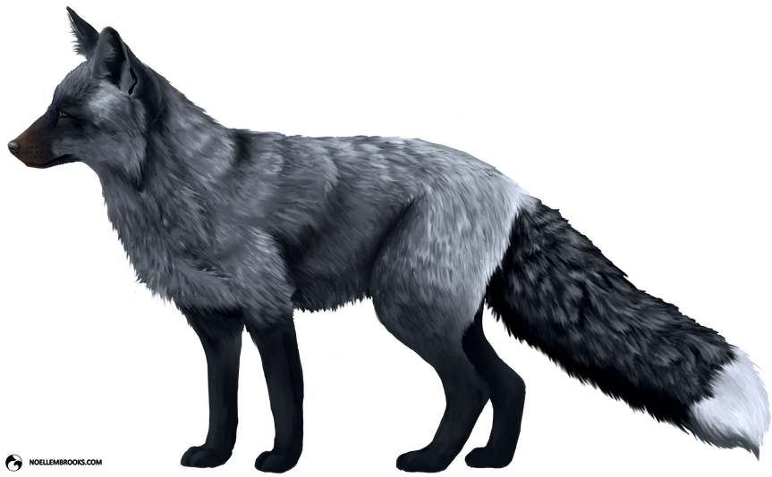Download Domesticated Red Dog - Red And Silver Fox PNG Image with No ...