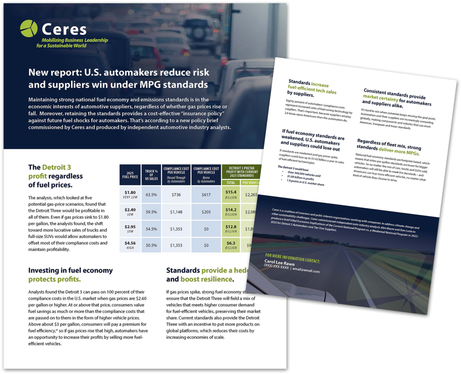 Download Ceres Report Handout - Flyer PNG Image with No Background ...