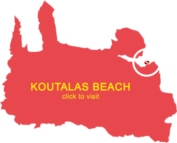 Download Diving Spots - Graphic Design PNG Image with No Background ...