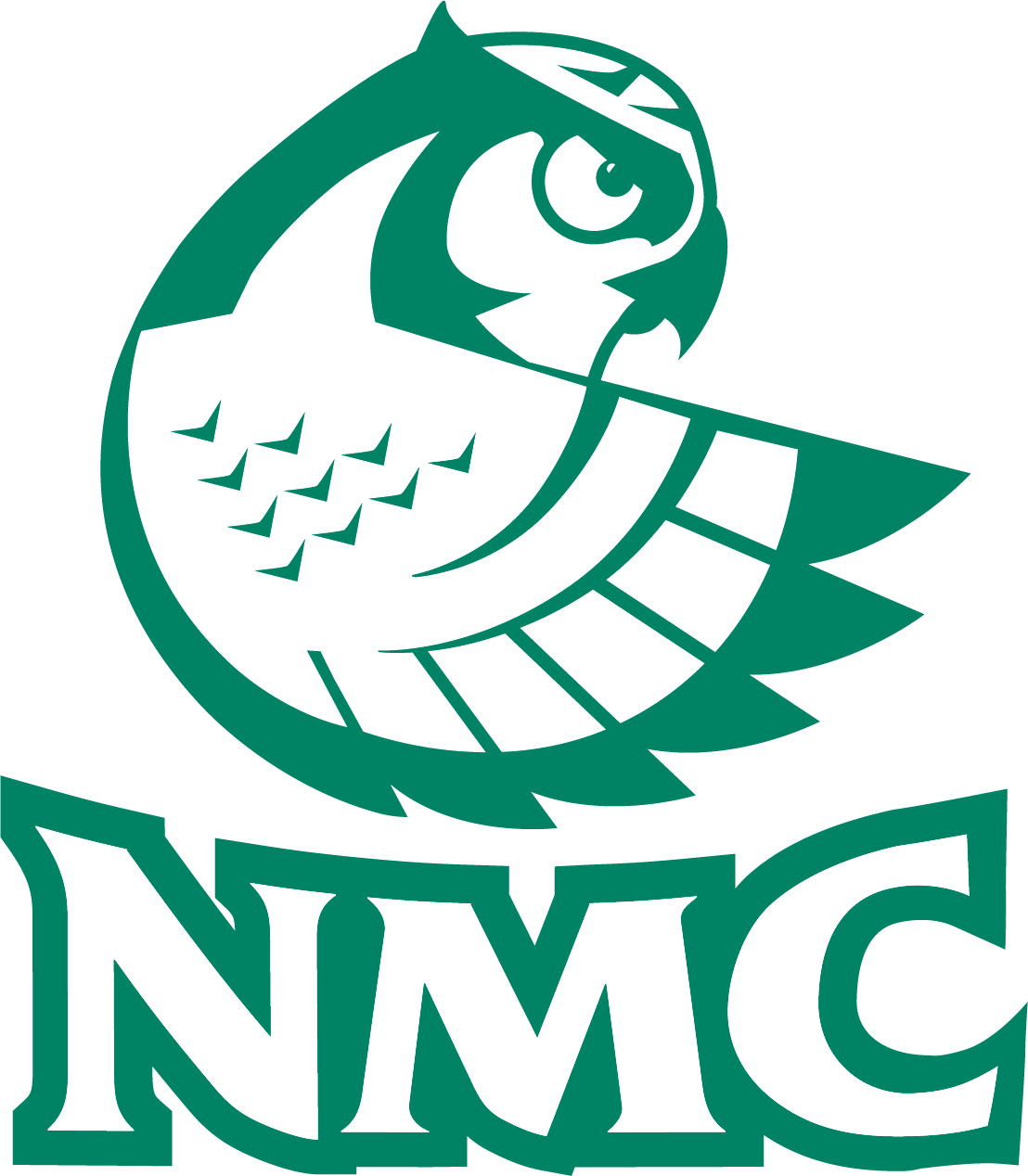 Download Nmc Hawk Owl - Nmc Logos PNG Image with No Background - PNGkey.com