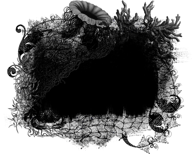 The Word Transparent Masks - Free Download Clipping Masks - Free ...