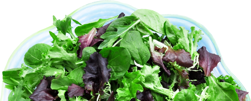 Download Pagelines- Lettuce - Spinach PNG Image with No Background ...