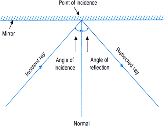 Reflection In A Plane Mirror - Diagram - Free Transparent PNG Download ...