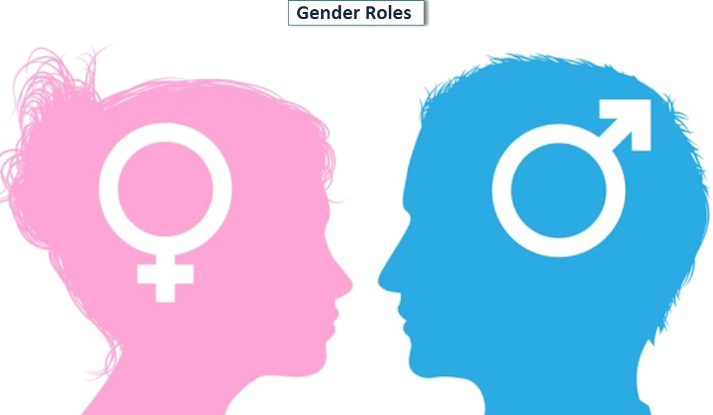 Download Gender Png Hd - Gender Roles Png PNG Image with No Background ...