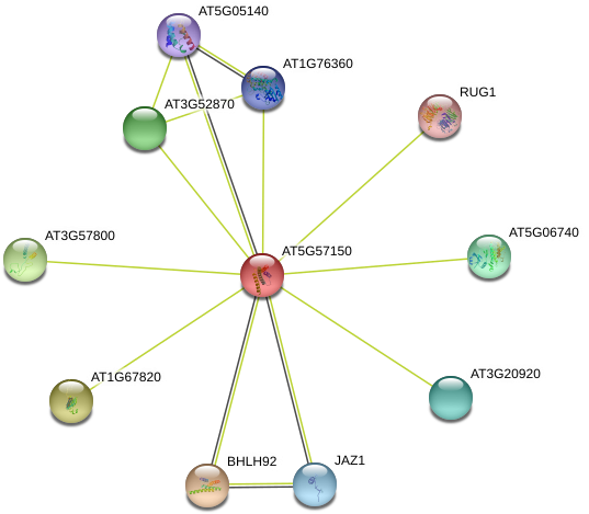 Download Circle PNG Image with No Background - PNGkey.com