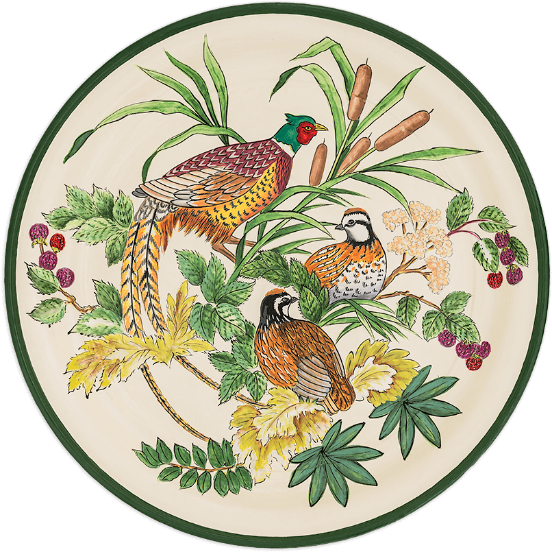 Download Tol-500 Pheasant & Quail PNG Image with No Background - PNGkey.com